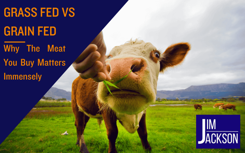 Grass Fed vs Grain Fed: Why the Meat You Buy Matters Immensely