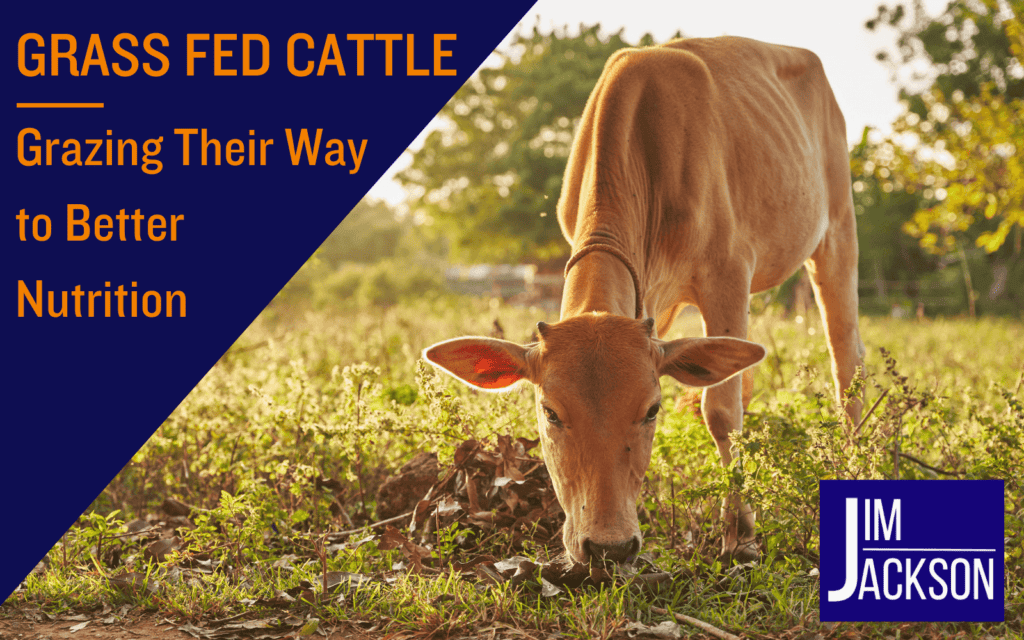 11 Powerful Beef Pancreas Benefits That Boost Gut Health and Energy